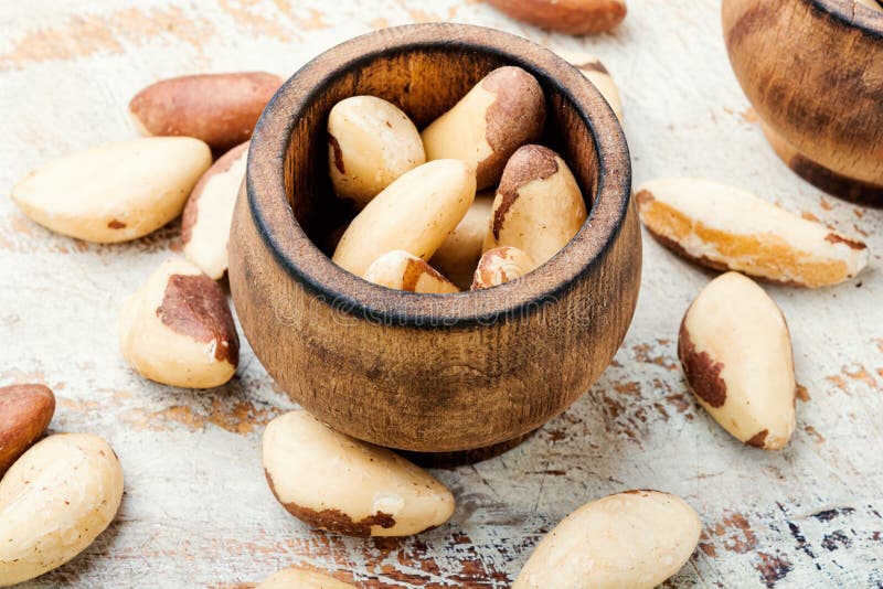 Brazil nut or Bertholletia stock image. Image of eating - 166364267