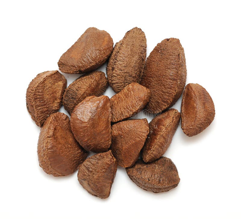 Brazil nut in shell stock image. Image of healthy, bowl - 35031589