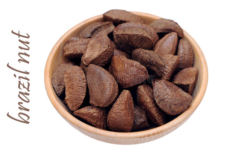 Brazil nut in shell stock image. Image of healthy, bowl - 35031589