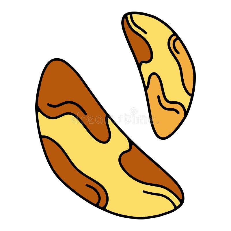 Brazil Nut in a Shell Simple Linear Cartoon Icon in Doodle Style Stock ...