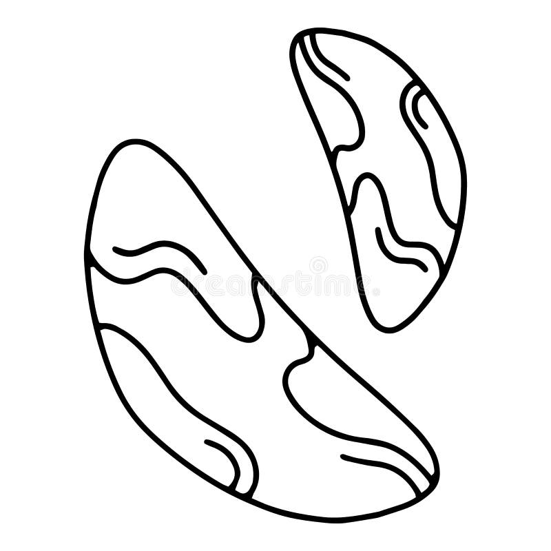 Brazil Nut in a Shell Simple Linear Cartoon Icon in Doodle Style Stock ...