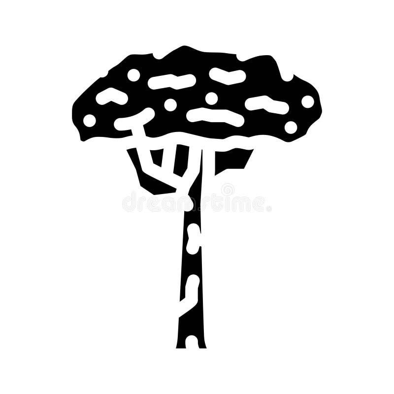 Brazil Nut Tree Glyph Icon Vector Illustration Stock Illustration ...