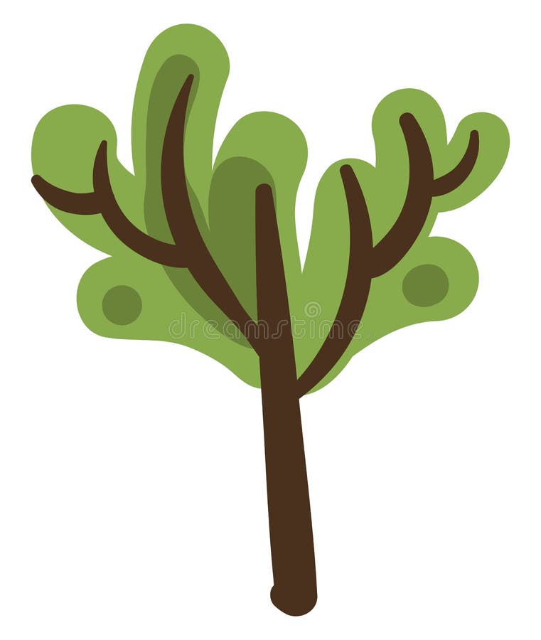 Brazilian Nut Tree Stock Illustrations – 107 Brazilian Nut Tree Stock ...