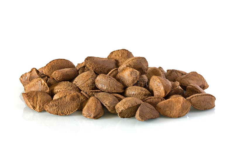 Brazil nuts stock photo. Image of ingredient, seeds, nuts - 28367750