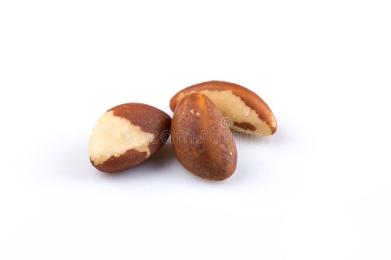 Brazil Nuts stock photo. Image of dietary, recipe, gourmet - 273147004
