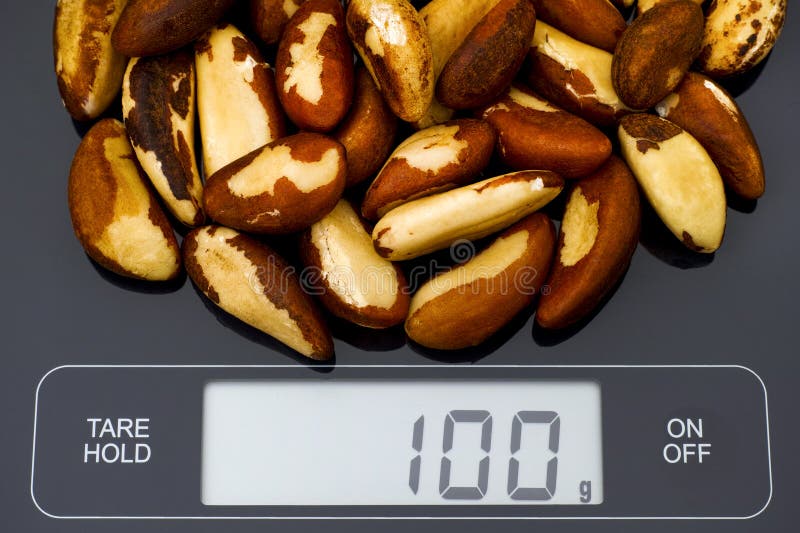 Brazil nuts stock photo. Image of ingredient, seeds, nuts - 28367750