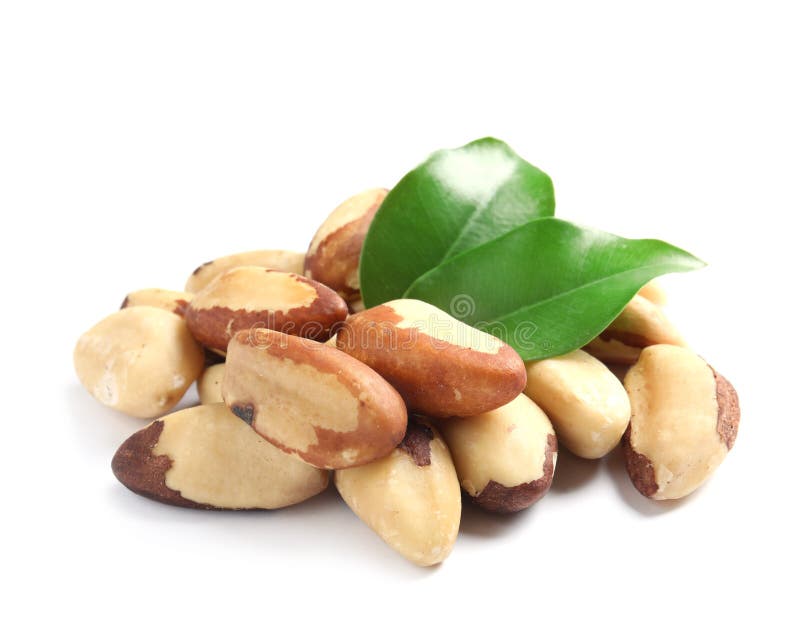 Brazil Nuts with Green Leaves on White Stock Image - Image of delicacy ...