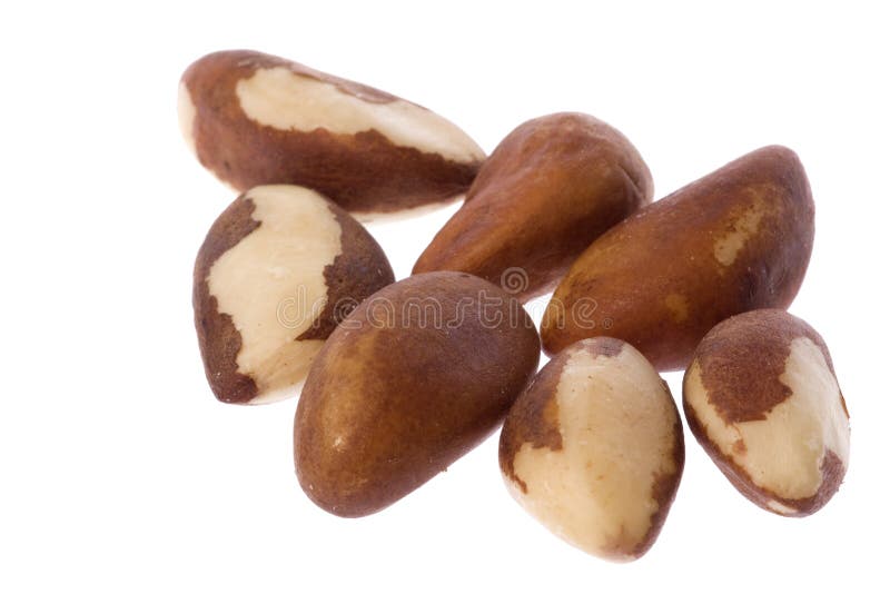 A Background of Large Brazil Nuts Stock Image - Image of organic ...