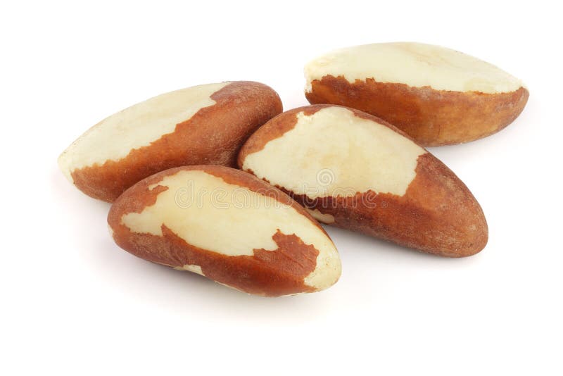 Brazil Nuts with Leaves Isolated on White Background Closeup. Full ...