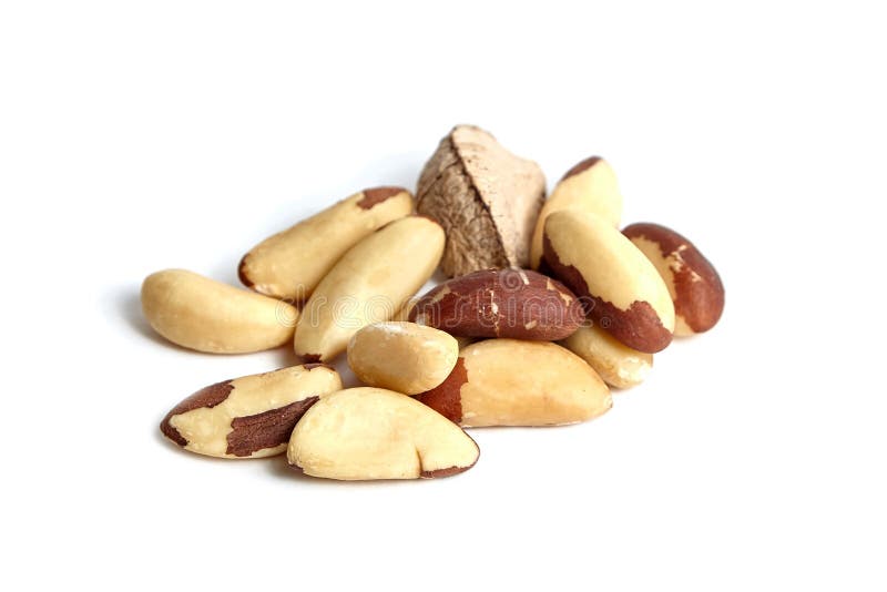 Brazil Nuts Isolated on White Background. Brazil Nut Group, Ripe and ...
