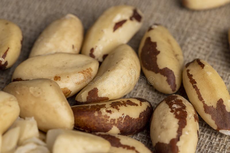 Brazil Nuts Peeled from the Shell on the Table Stock Image - Image of ...