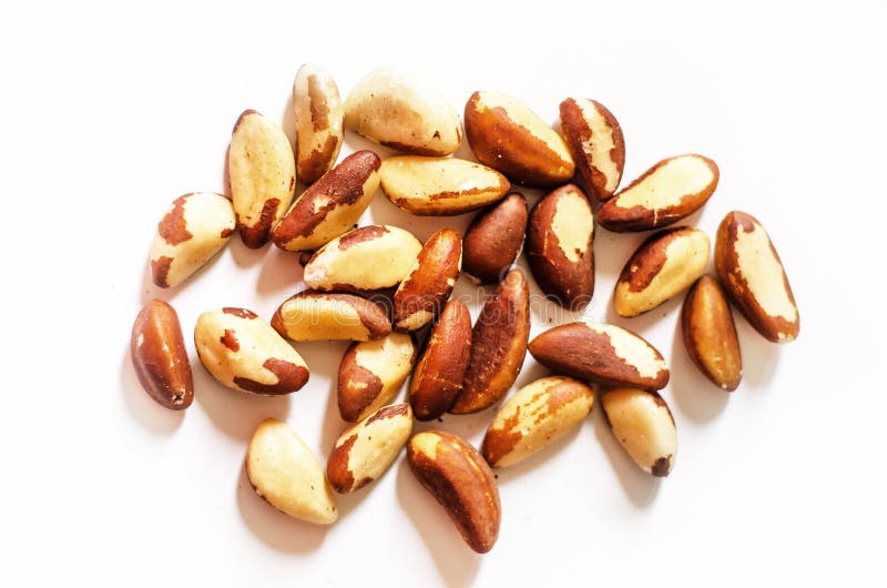 Brazil nuts stock photo. Image of ingredient, seeds, nuts - 28367750