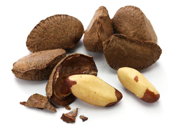 Brazil Nuts, in Shell ,and Shell Removal Stock Photo - Image of seeds ...