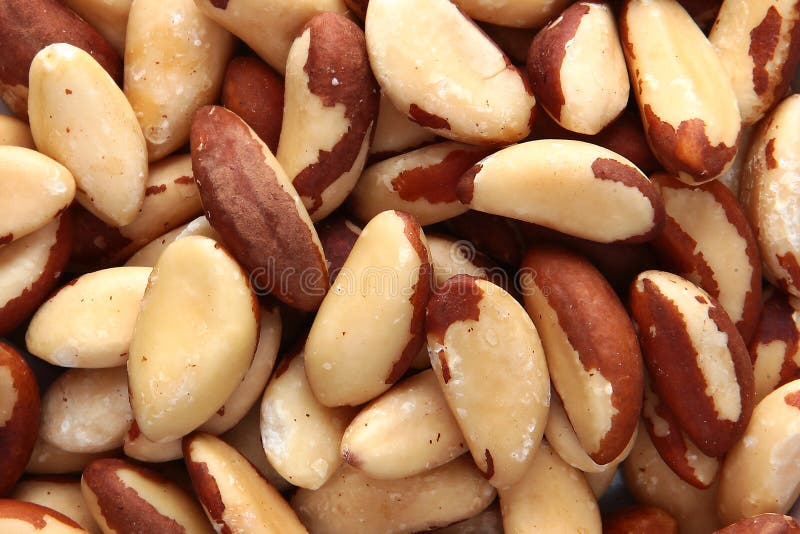 Brazil Nuts, without Shells, in Large Quantities. Natural Product. the ...