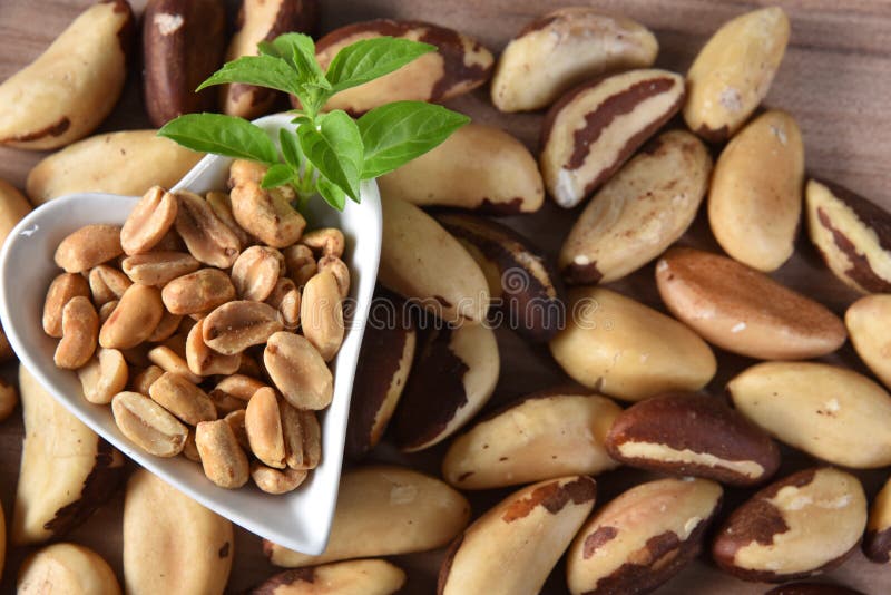 Brazil Nuts on the Table with a Pot of Peanuts on the Side, Typical ...