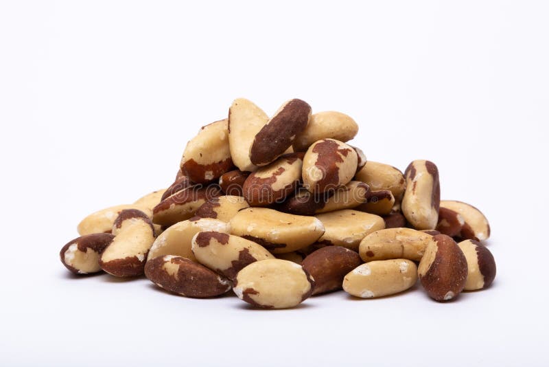A heap of Brazil Nuts stock image. Image of white, shallow - 123751375