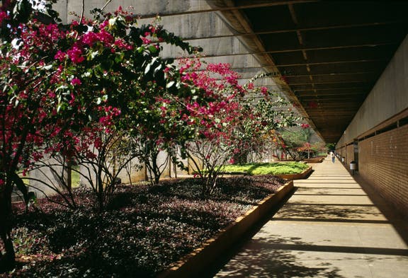 Brazil University Interior editorial photography. Image of garden - 881242