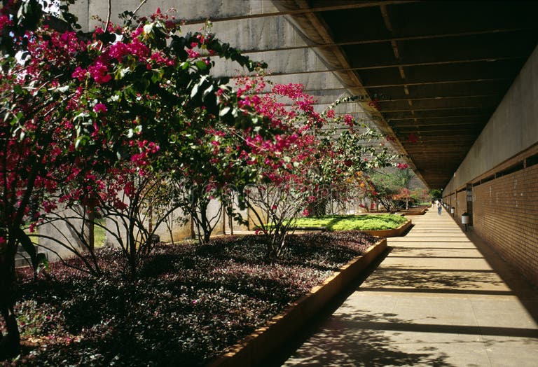 Brazil University Interior editorial photography. Image of garden - 881242