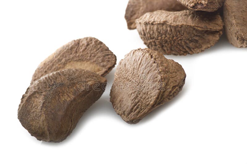 Brazil walnut stock image. Image of diet, macro, cutout - 66790571