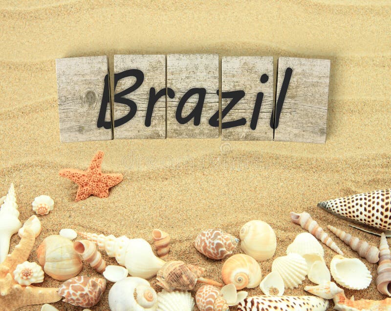 Brazil on Wooden Board Pieces with Sea Shells Stock Illustration ...
