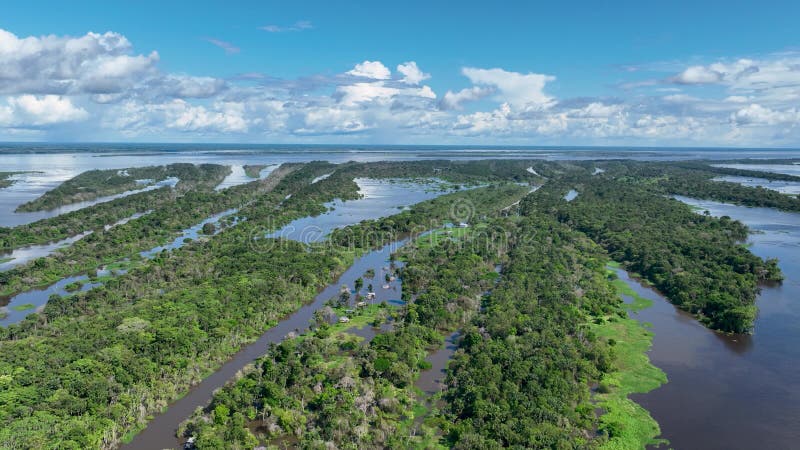 Brazilian Amazon Rainforest Landscape in 5K Resolution. Stock Footage ...