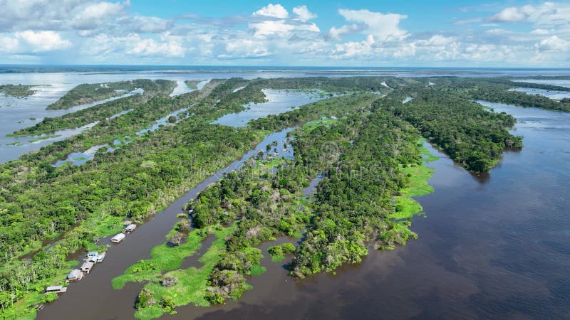Brazilian Amazon Rainforest Landscape in 5K Resolution. Stock Video ...