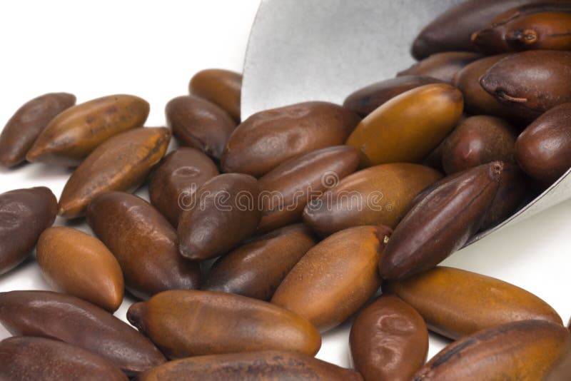 Brazilian Baru Nut Castanha De Baru with Grain Scoop in White ...