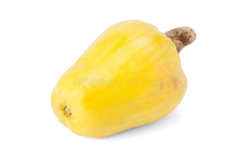 Brazilian Caju Cashew Fruit Stock Image - Image of farming, cachoux ...