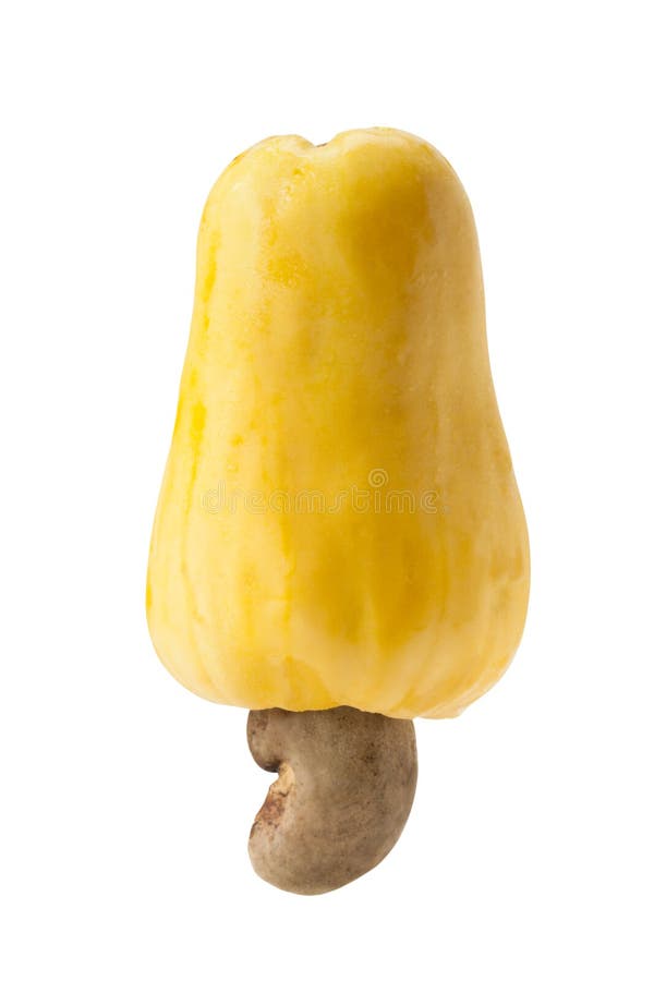 Brazilian Caju Cashew Fruit Stock Image - Image of market, cachoux ...