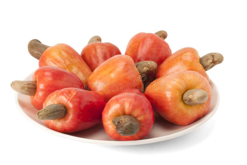 Brazilian Caju Cashew Fruit Stock Photo - Image of medicine, healthy ...