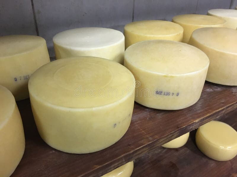 Brazilian cheese stock photo. Image of minas, cura, canastra - 107620660