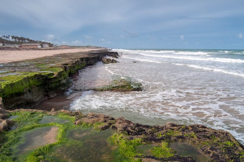 Brazilian Coastline stock image. Image of water, ocean - 25069253