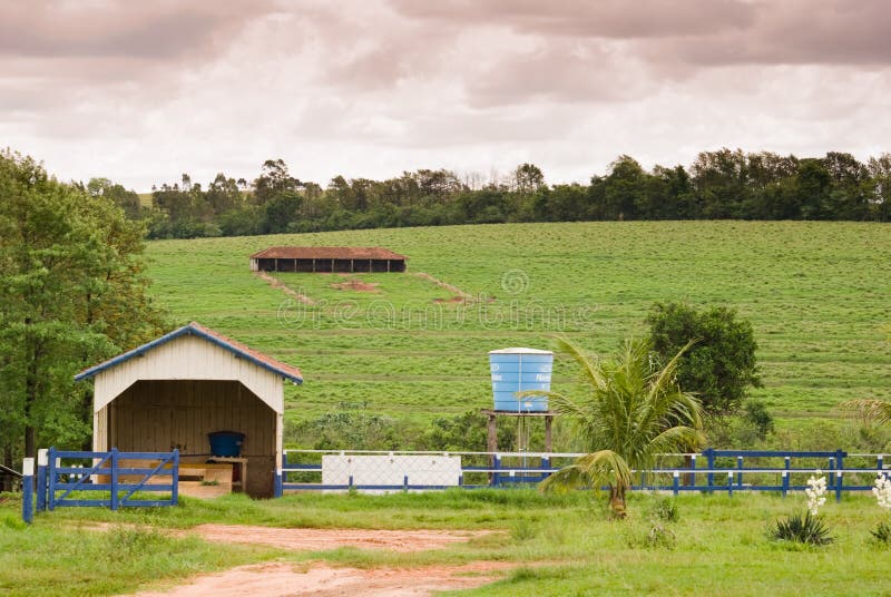 Brazilian Farm stock photo. Image of house, environmental - 11943322