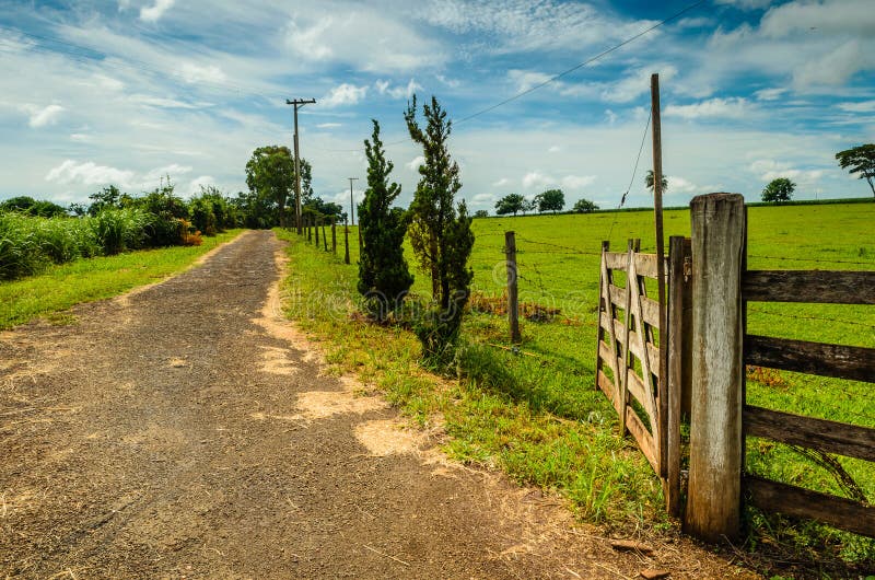 Brazilian farm gate stock photo. Image of tree, wood - 58138876