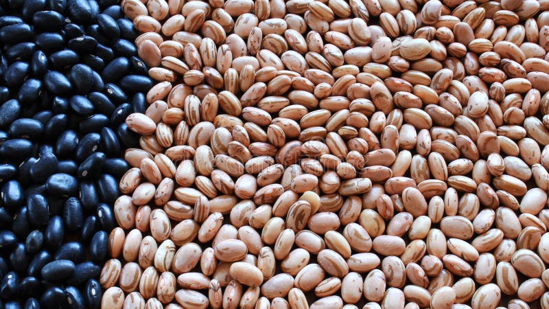 Brazilian Grains. Carioca Beans Scattered with Black Beans Stock Photo ...