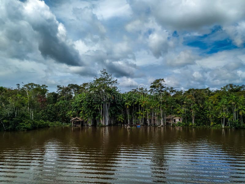 Brazilian Landscape in of the Amazon Forest Stock Image - Image of moon ...