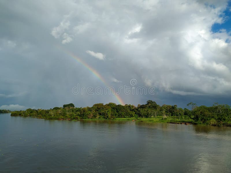 Brazilian Landscape in of the Amazon Forest Stock Photo - Image of ...