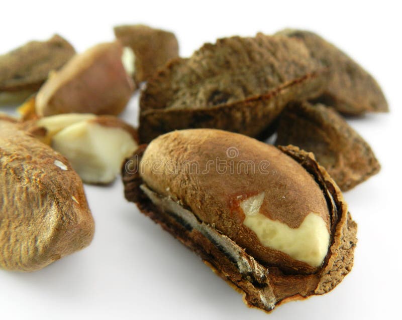 Brazilian nuts stock photo. Image of hazelnut, oilseed - 62602876