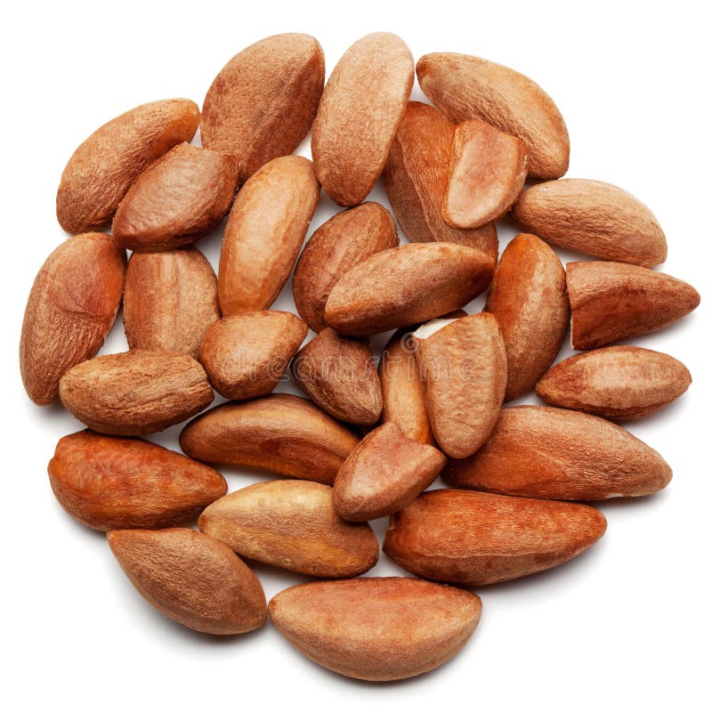 Brazilian Nuts Stock Photos - Download 2,739 Royalty Free Photos