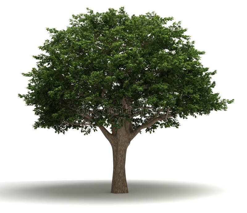 Brazilian Stock Illustrations – 59,606 Brazilian Stock Illustrations ...