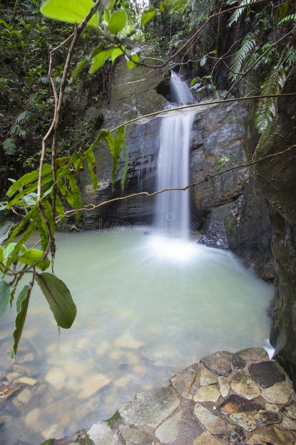 Brazilian Waterfall this Waterfall is Very Beautiful and Cold. Stock ...