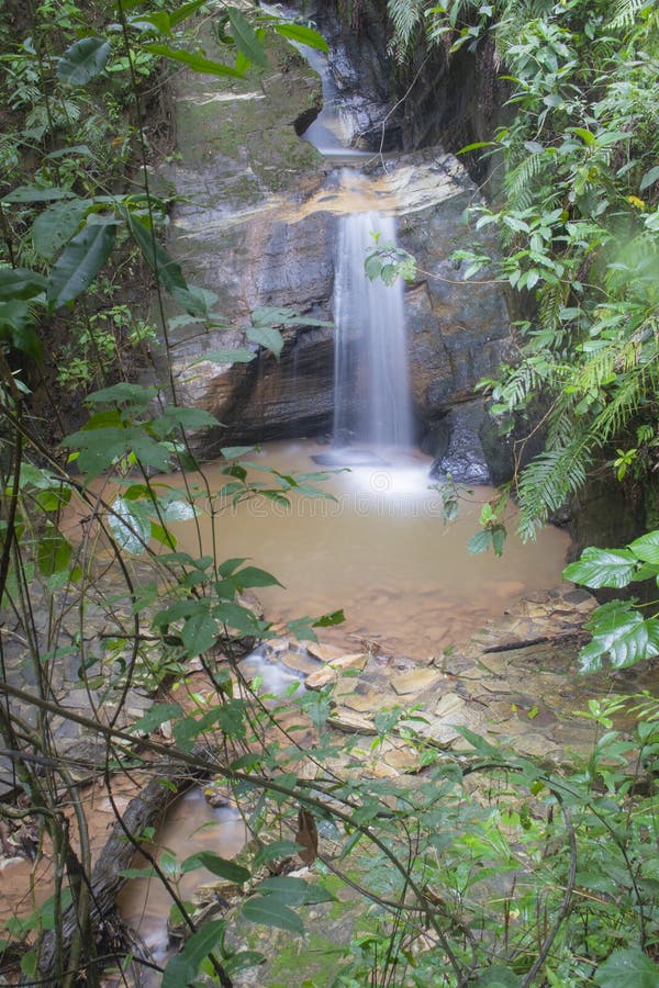 Brazilian Waterfall this Waterfall is Very Beautiful and Cold. Stock ...