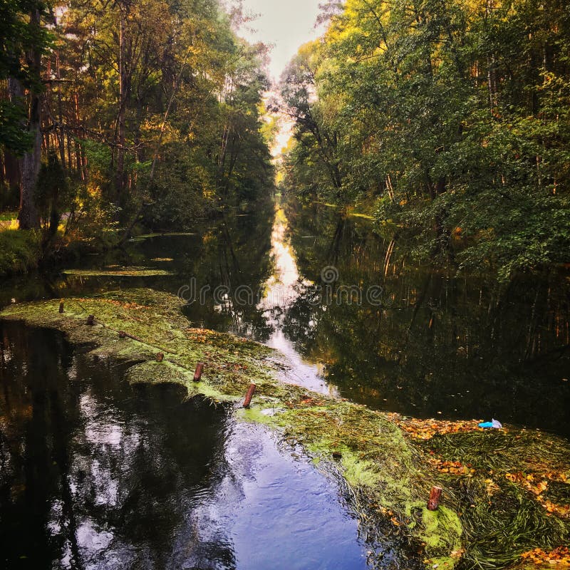 Brda Canal stock photo. Image of rytel, pomeranian, river - 78559264