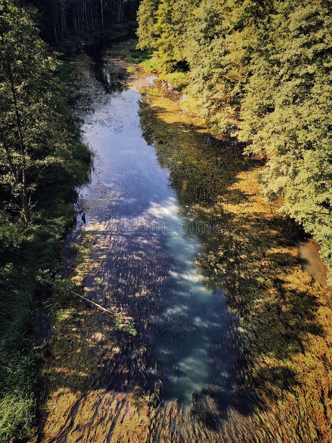 Brda River stock photo. Image of poland, forest, town - 79668646