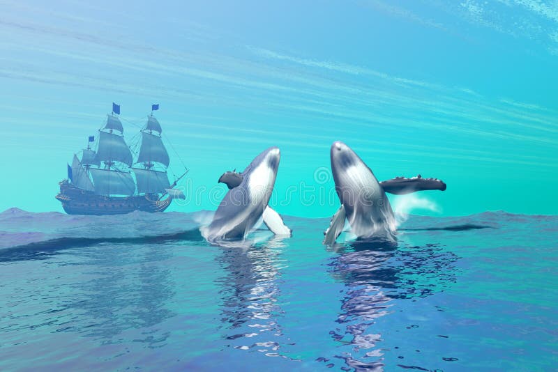 Breaching Humpback Whale Line Art Stock Vector - Illustration of ...