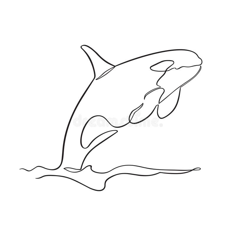Killer Whale Orca Line Art Vector Stock Illustrations – 140 Killer ...