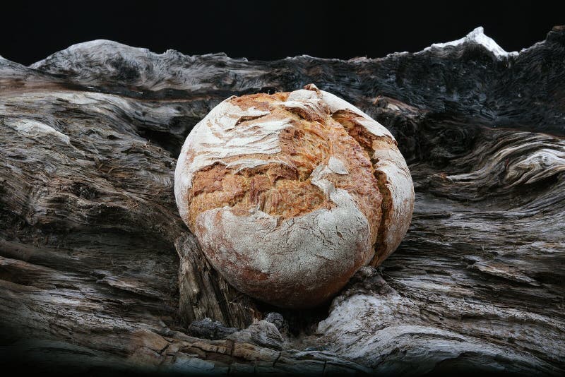 Bread stock image. Image of bread, landscape, baking - 12961685