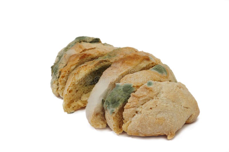 Raisin Bread is Going To Moldy Bread Stock Image - Image of date ...