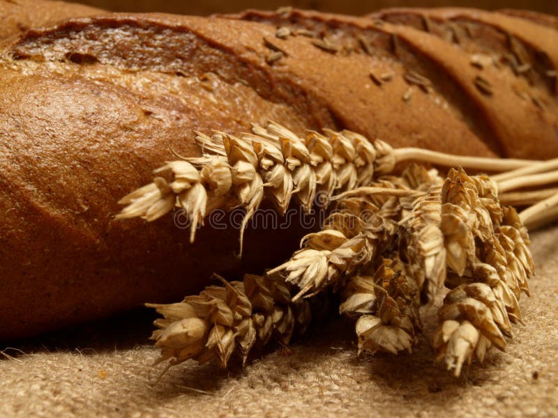 Crackling bread stock photo. Image of shaped, bread, baked - 42377572