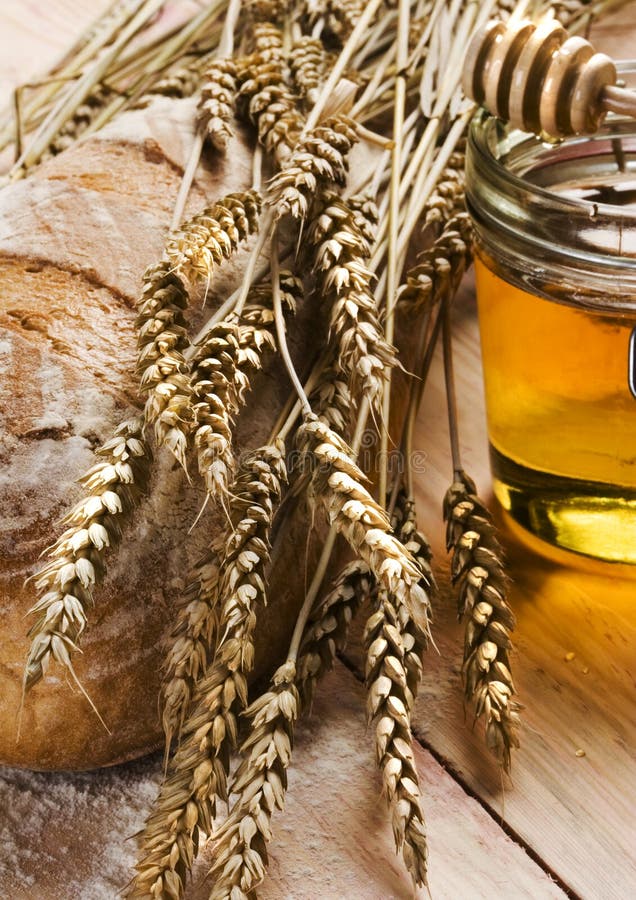 Wheat stock photo. Image of country, farm, grow, agricultural - 3983654